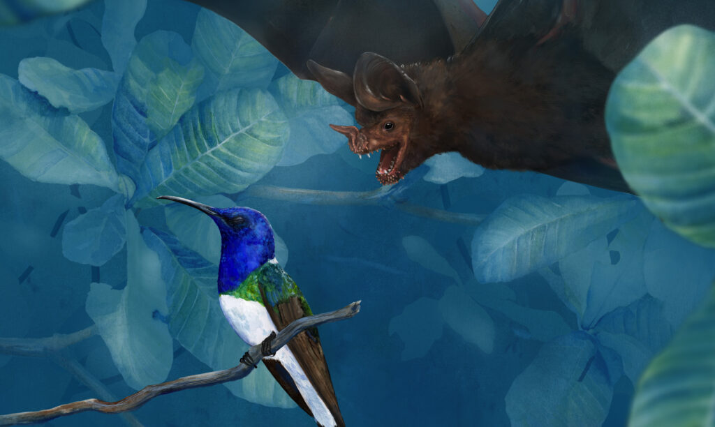 Alimentación de los murciélagos: los secretos de su dieta | Mascotario