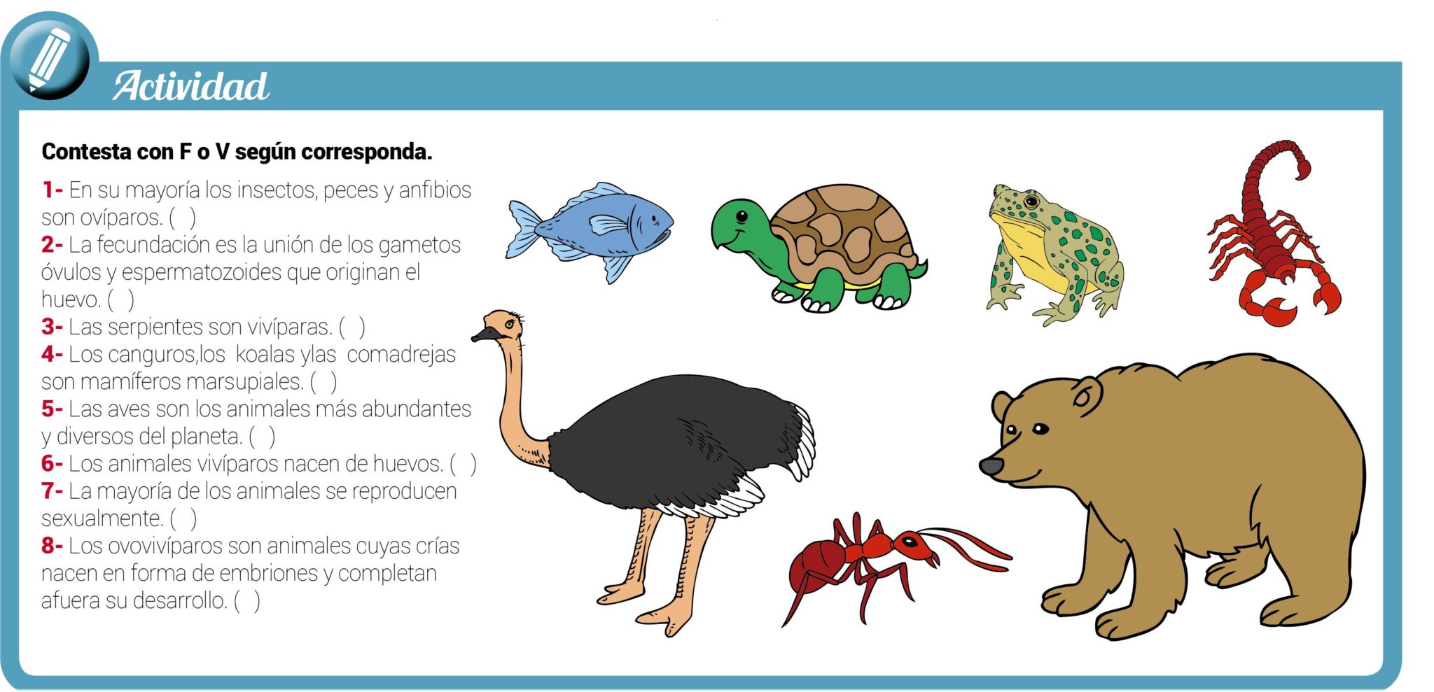 Tipos y ejemplos de reproducción sexual en animales | Mascotario