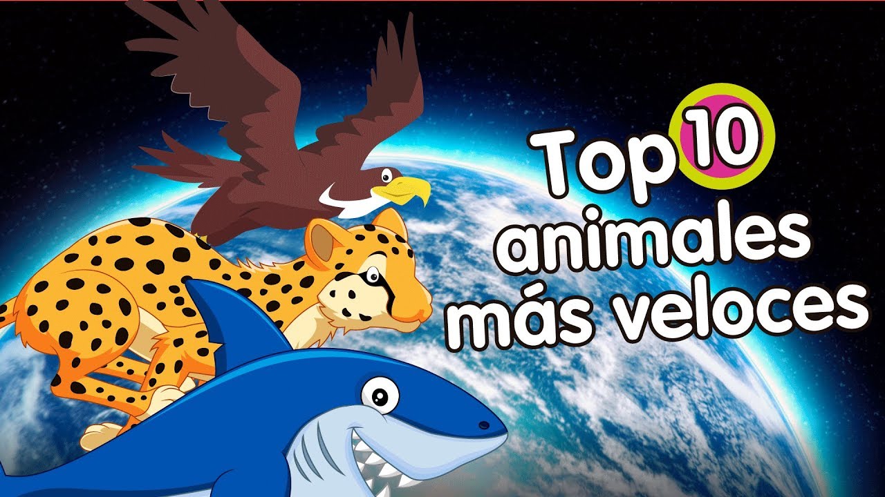 Conoce los 10 animales más veloces que existen en la Tierra | Mascotario