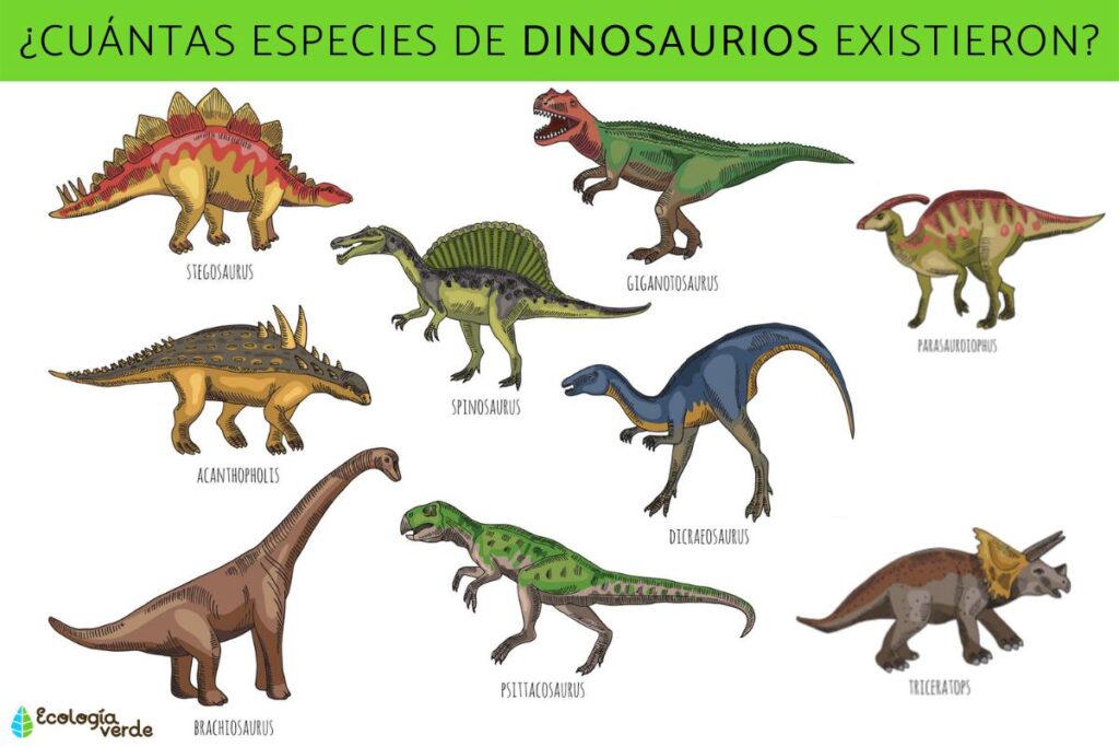 Conoce Los Diferentes Tipos De Dinosaurios Herbívoros Mascotario