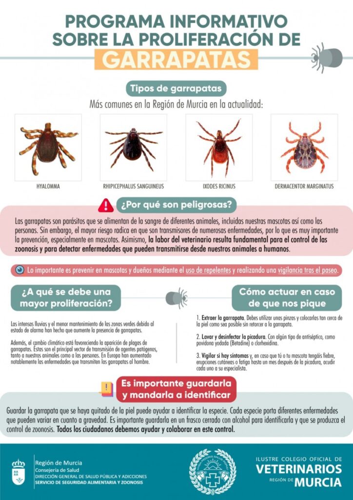 Garrapatas: enfermedades que transmiten y cómo prevenirlas | Mascotario