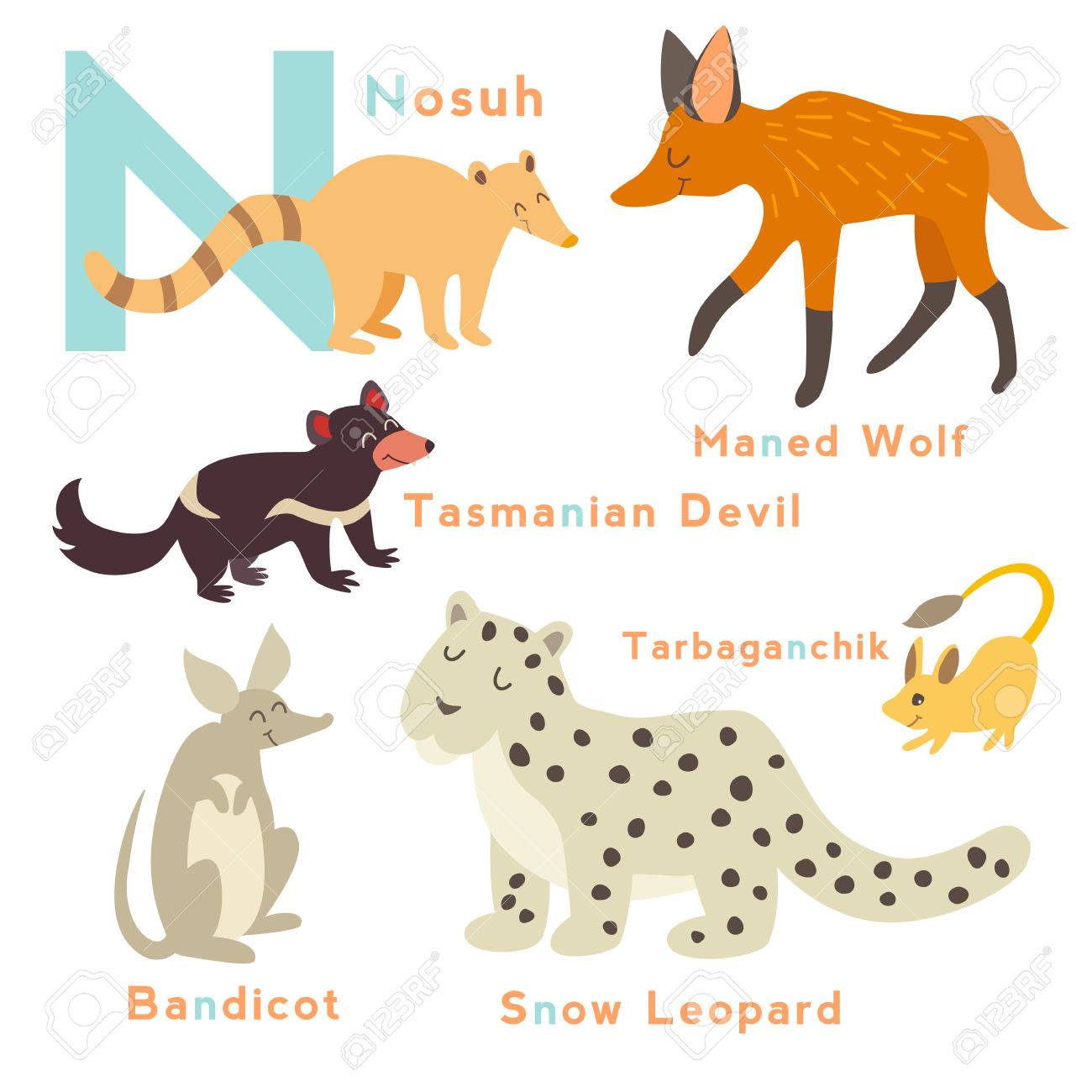 Lista De Animales Con N En Ingl s Y Espa ol Mascotario