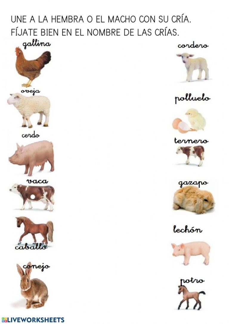 Lista de nombres y fotos de crías de animales | Mascotario