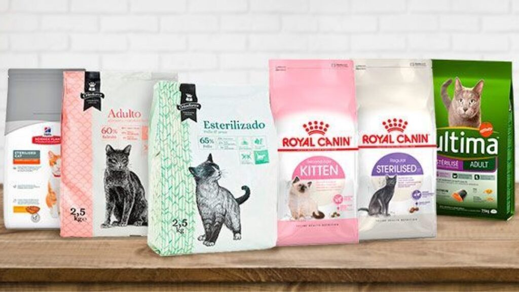 Los mejores alimentos para gatos que puedes encontrar en casa | Mascotario