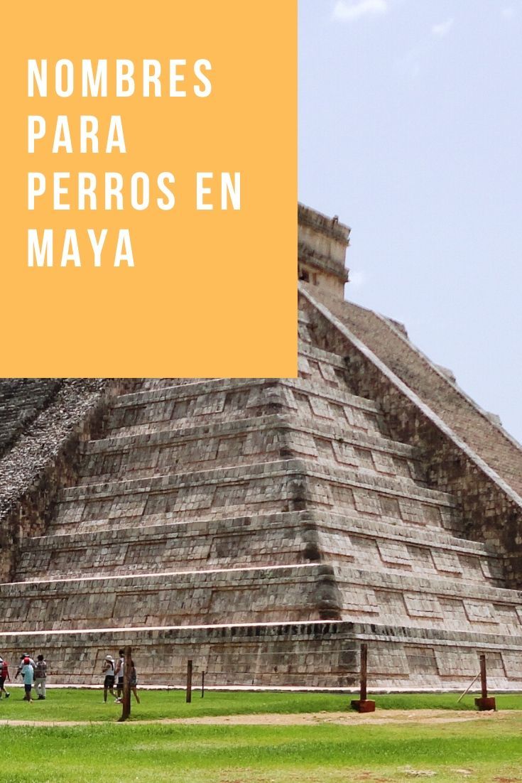 Nombres para perros en la cultura maya | Mascotario