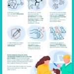 Guía completa sobre la tos en gatos: síntomas, causas y tratamiento ...