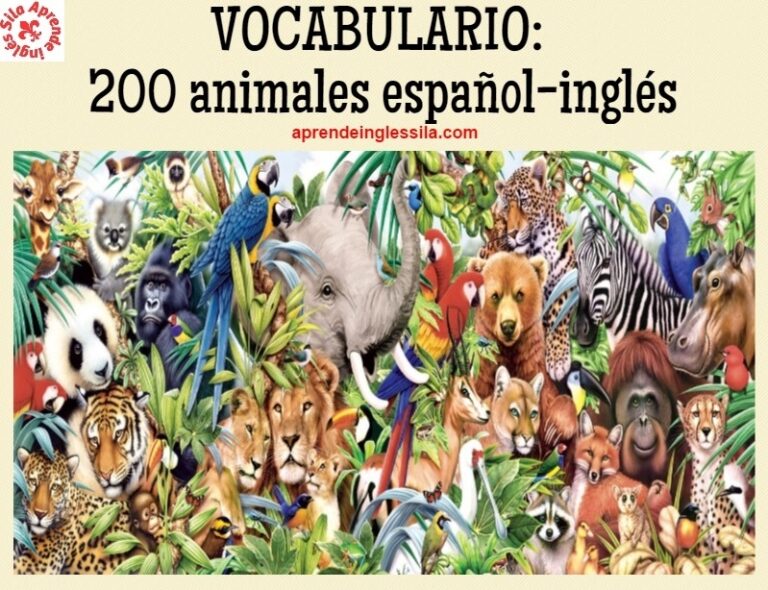 Toda la lista de animales con inicial T | Mascotario