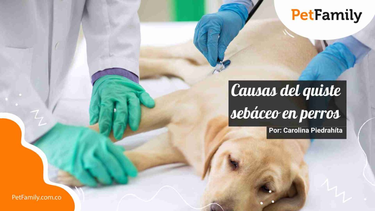 Todo lo que necesitas saber sobre el tratamiento y las causas del ...